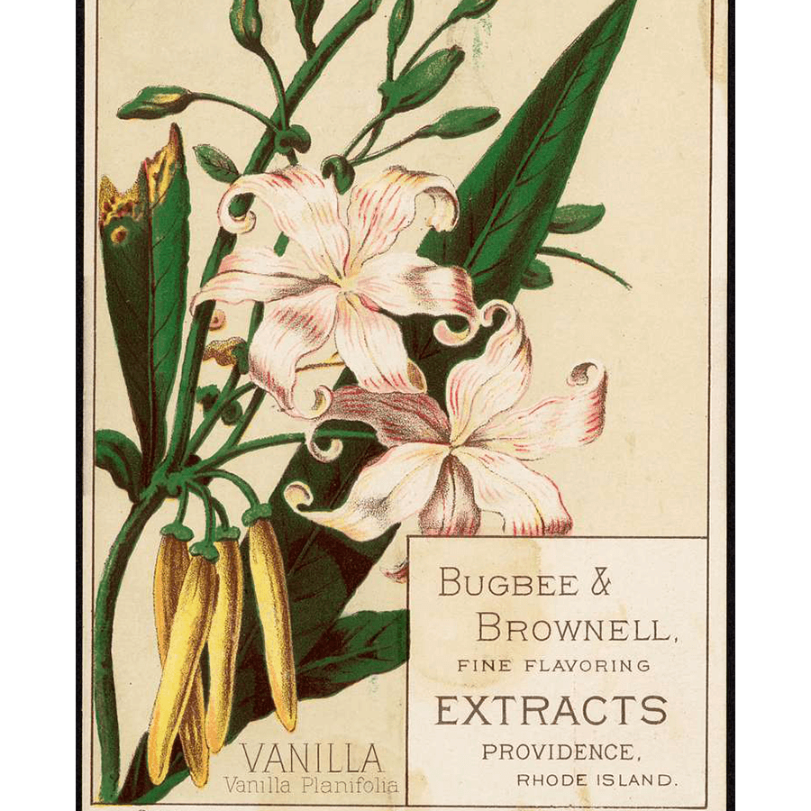 Sophisticated Fragrance Oils For The Discerning Maker – Scent Memory LLC